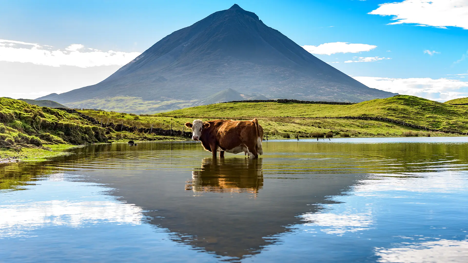 Mount Pico Azores: The Ultimate Guide to Portugal’s Highest Mountain ...